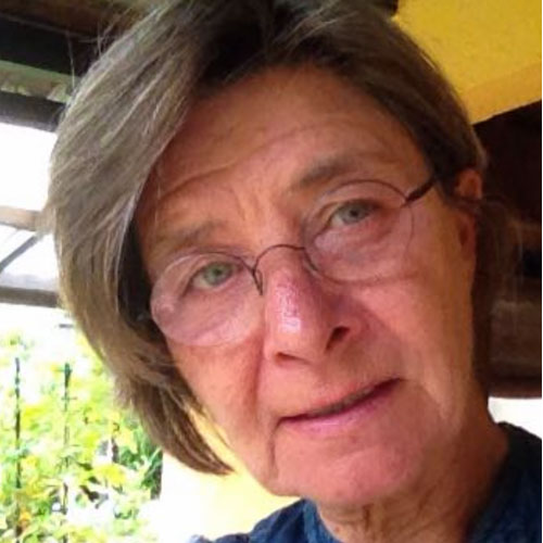 Der Vorstand des Kleingartenvereins | Kletterrose von 1921 e.V.